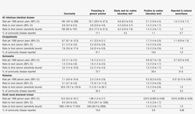 Reporting Pyramids - Free Transparent PNG Download - PNGkey