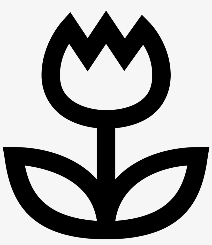 Modalità Primo Piano Icon - Free Transparent PNG Download - PNGkey