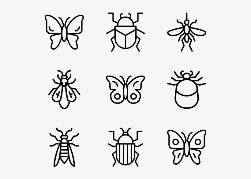 Bugs & Insects - Free Transparent PNG Download - PNGkey