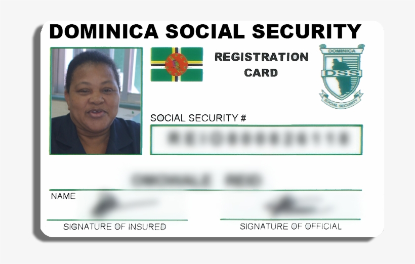 Social Security Card - Free Transparent PNG Download - PNGkey