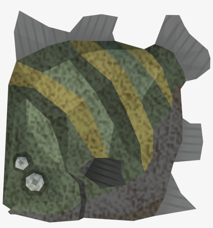 Raw Giant Flatfish Detail - Free Transparent PNG Download - PNGkey