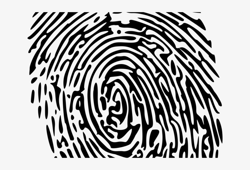 Fingerprint Clipart Transparent - Forensics Clip Art - Free Transparent ...