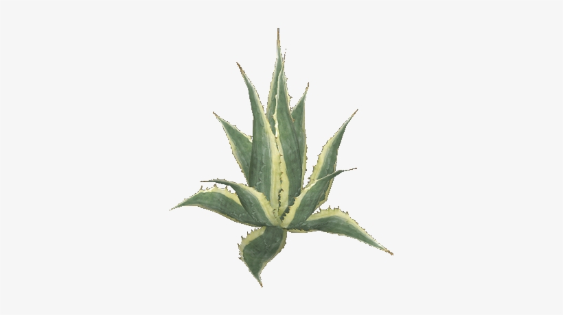 Wiki - Free Transparent PNG Download - PNGkey