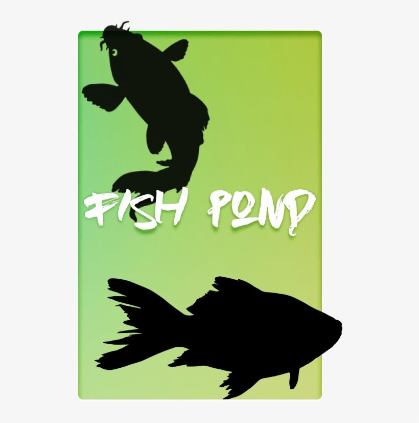 Fish-pond - Free Transparent PNG Download - PNGkey