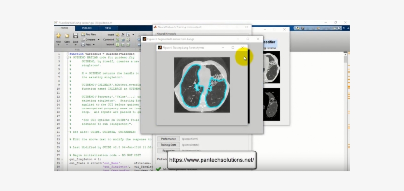 Lungs Png - Free Transparent PNG Download - PNGkey