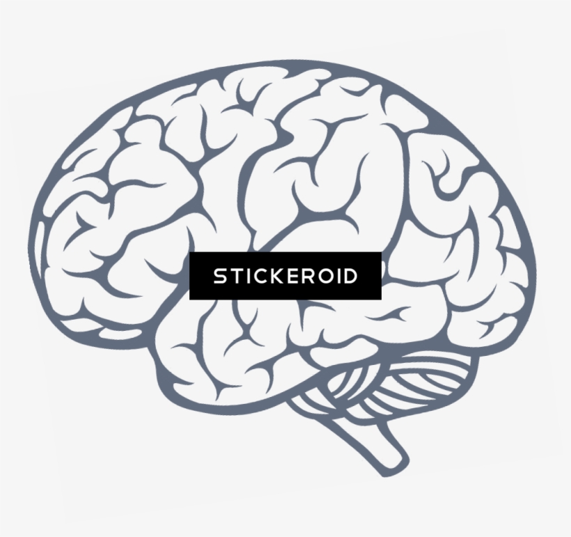 Mind - Free Transparent PNG Download - PNGkey