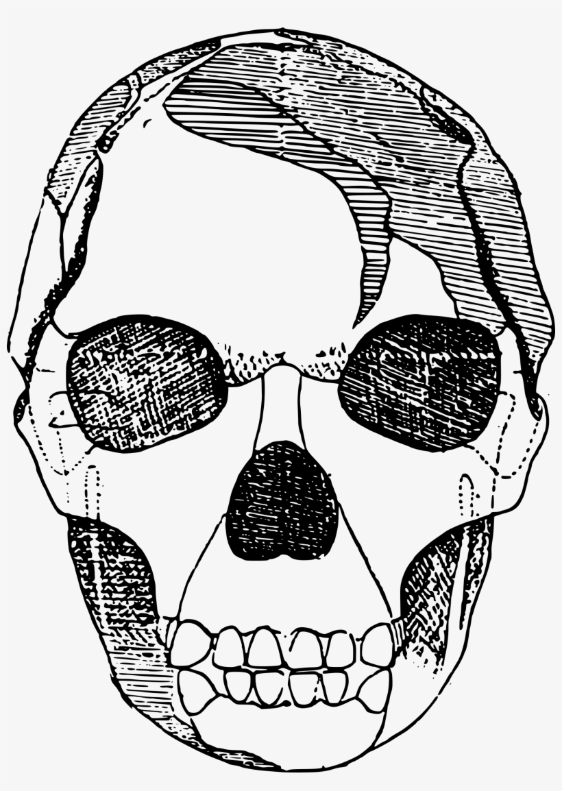 This Free Icons Png Design Of Basic Skull - Free Transparent PNG ...