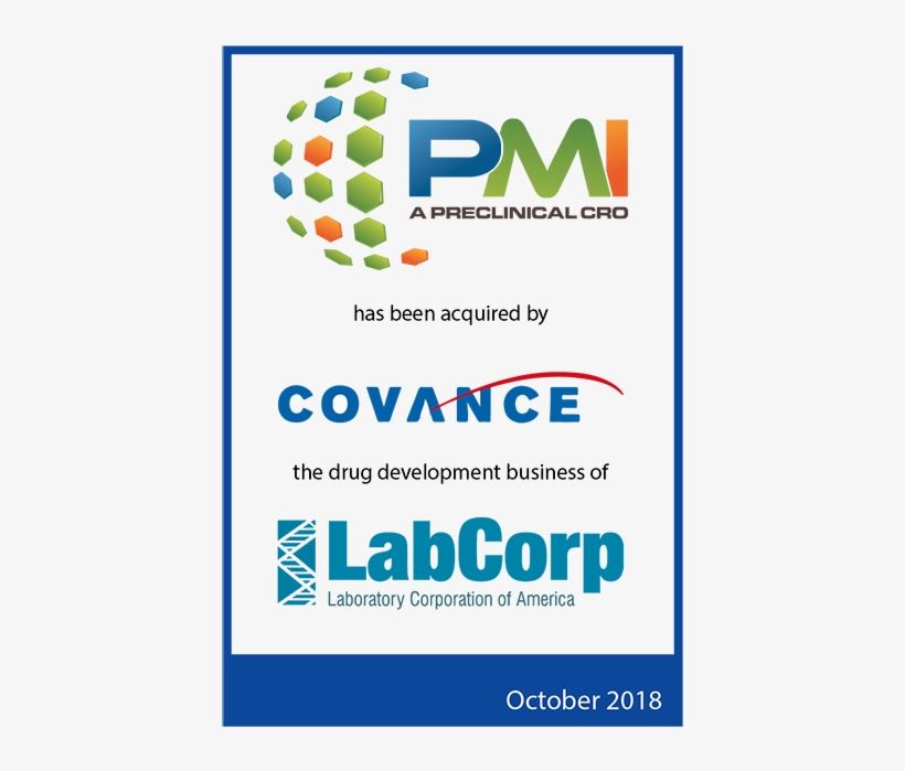 Overview - Free Transparent PNG Download - PNGkey