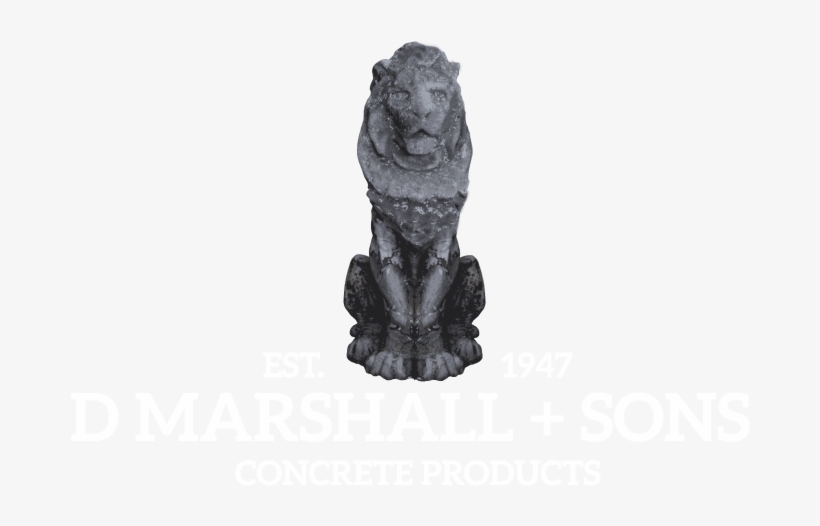D Marshall & Sons - Free Transparent PNG Download - PNGkey