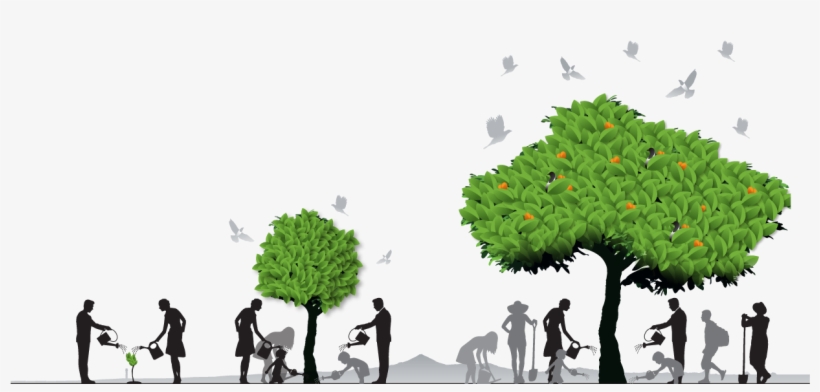 Tree-growth - Facebook - Free Transparent PNG Download - PNGkey