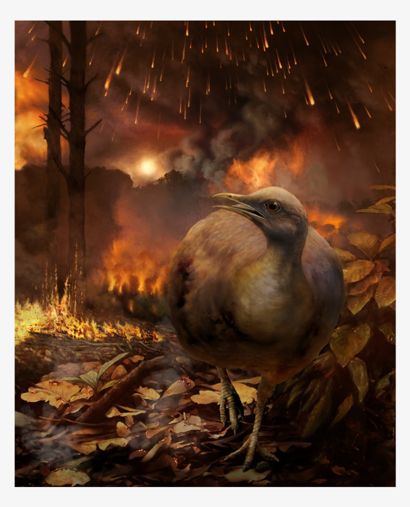Illustration Of Prehistoric Bird Fleeing Fire After - Did Birds Survive ...