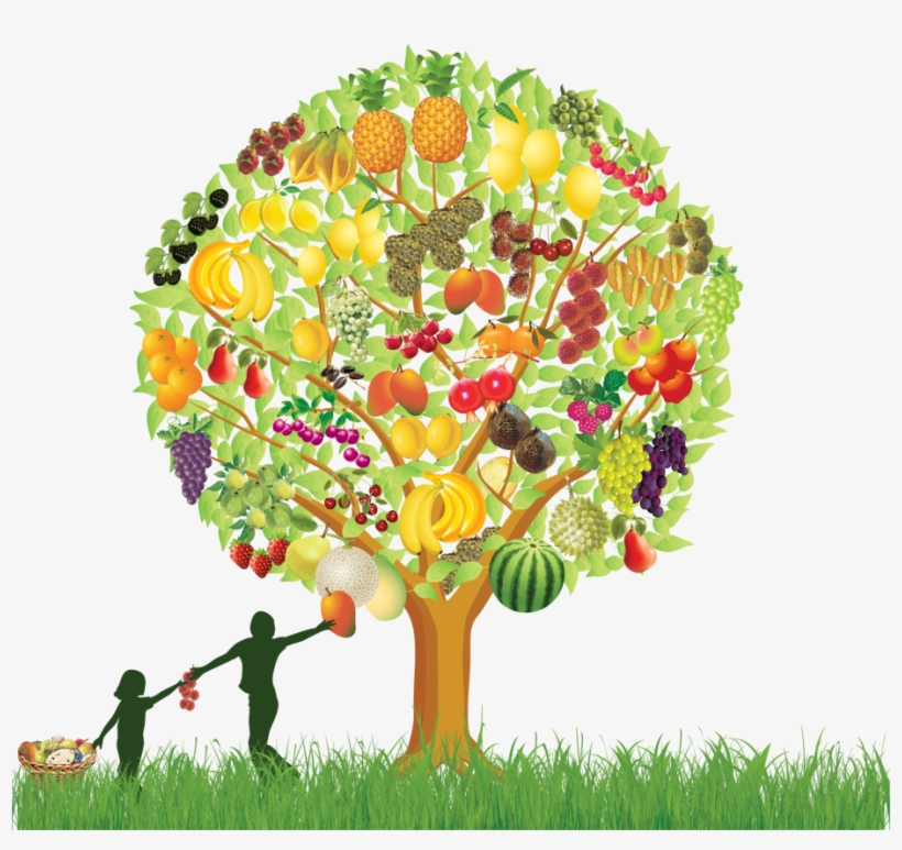 Fruit Tree - Free Transparent PNG Download - PNGkey