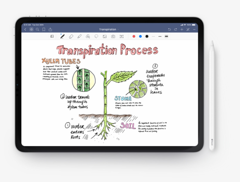 Leave Paper Behind - Free Transparent PNG Download - PNGkey