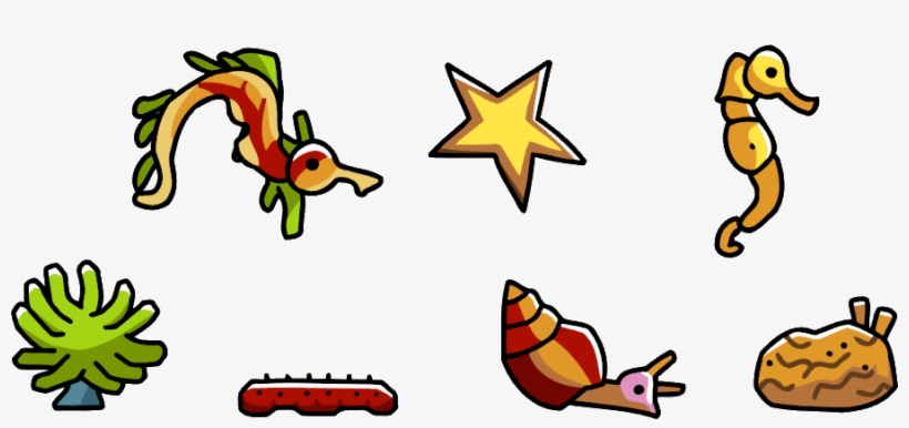 Tide Pool - Free Transparent PNG Download - PNGkey