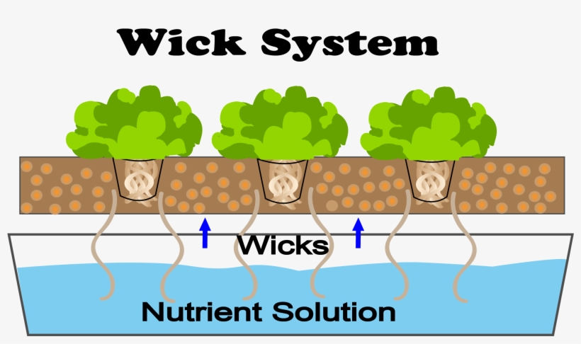 Wick Png - Free Transparent PNG Download - PNGkey