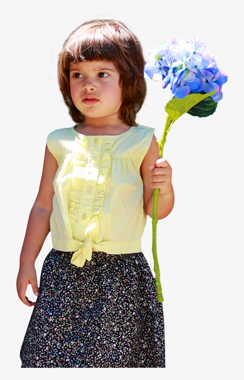 Summer Cotton Collection - Free Transparent PNG Download - PNGkey