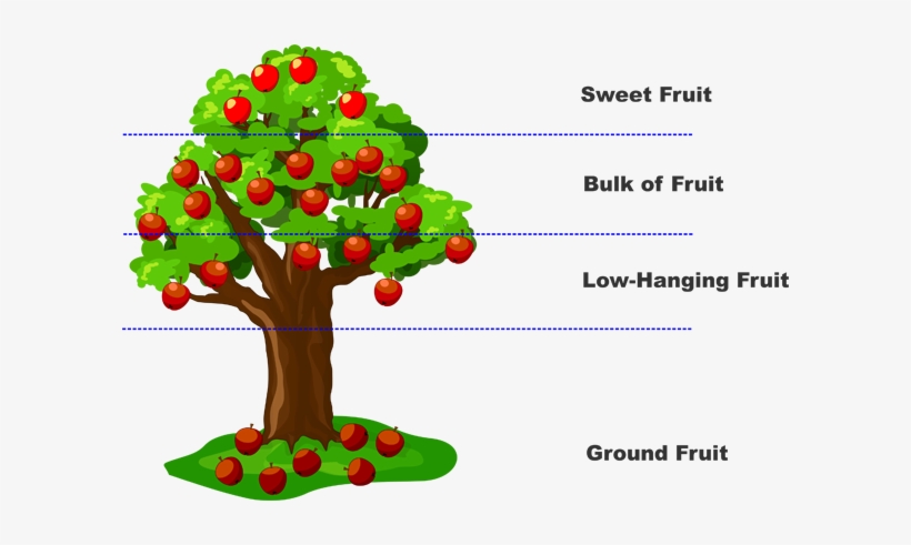 Apple Tree - Lean Low Hanging Fruit - Free Transparent PNG Download ...