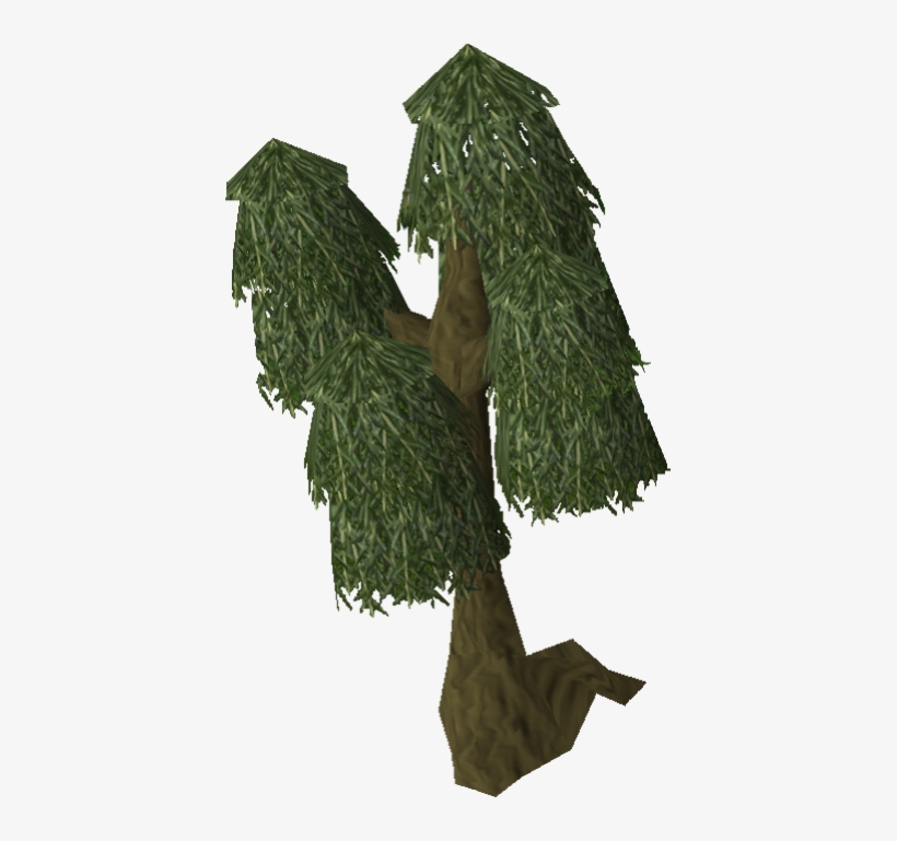 Image Willow Tree Old Png Runescape Wiki Fandom Powered - Runescape ...