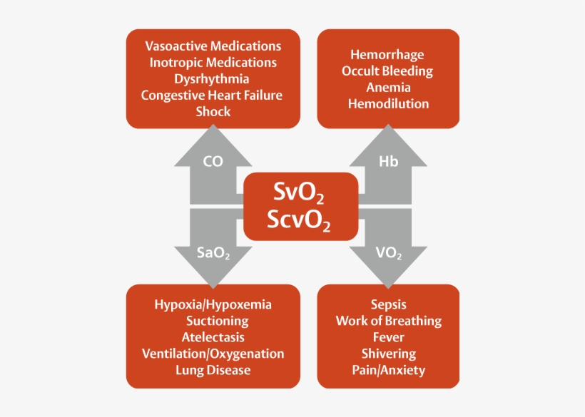 Clinical Uses Of Svo2 And Scv02 Monitoring - Scv02 Sv02 - Free ...