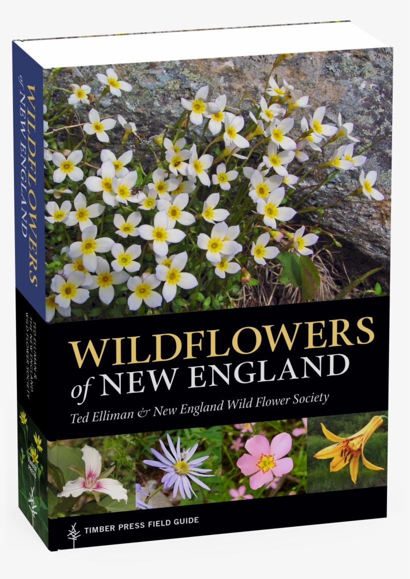 Cover - Free Transparent PNG Download - PNGkey