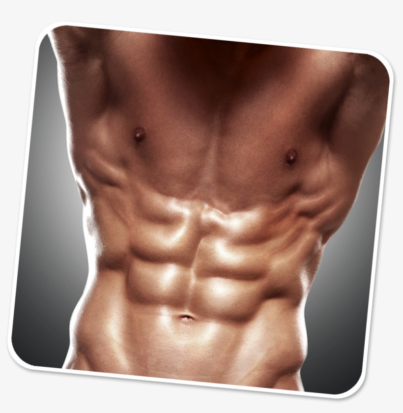 Fighter Abs - Free Transparent PNG Download - PNGkey