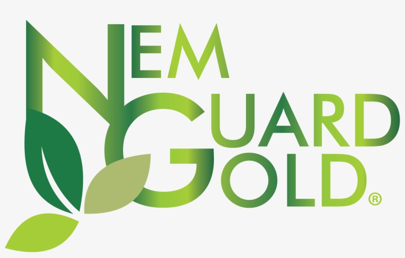 Nem Guard Gold - Free Transparent PNG Download - PNGkey