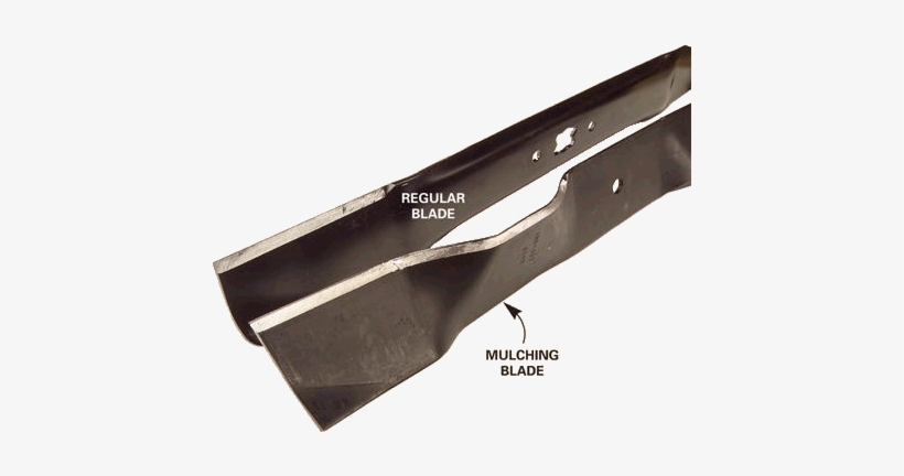 Share - Free Transparent PNG Download - PNGkey