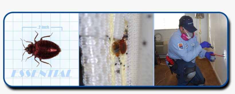 Step 1 - - Free Transparent PNG Download - PNGkey