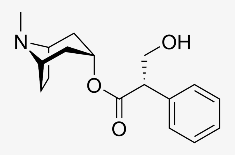 Diagram Representing The Molecular Structure Of Hyoscyamine - Free ...