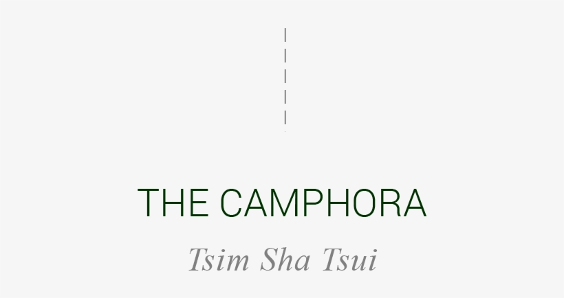 Transparent Tumblr Words Png - Free Transparent PNG Download - PNGkey