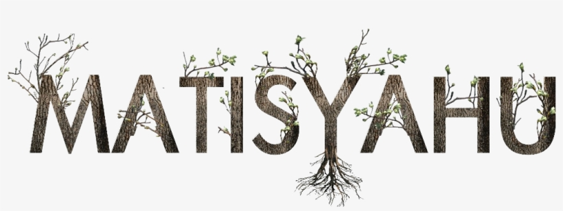 Rwb Headliner - Matisyahu - Free Transparent PNG Download - PNGkey