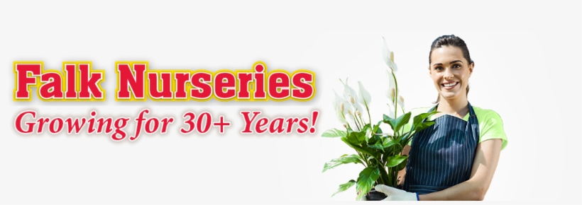 We Grow Every Year - Free Transparent PNG Download - PNGkey