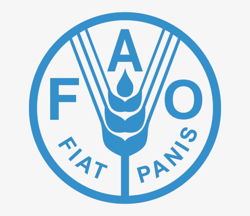 United Nations Logo Transparent Wwwimgkidcom The - Free Transparent PNG ...