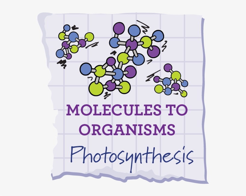 Previous Lesson Next Lesson Unit Overview - Free Transparent PNG ...