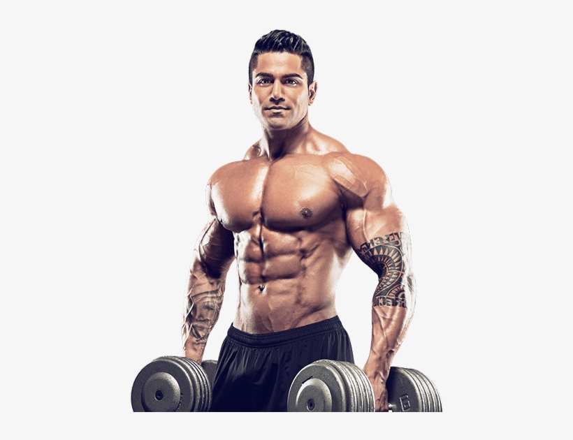 Bodybuilding Png - Free Transparent PNG Download - PNGkey