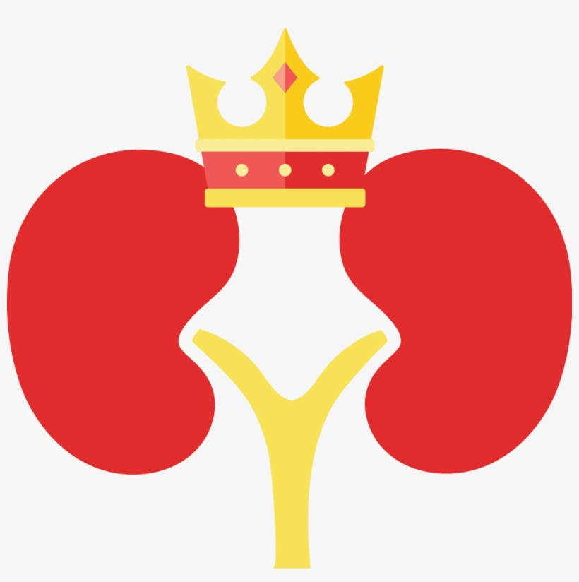 Svg Free Library Kidney Clipart Nephrologist - Free Transparent PNG ...