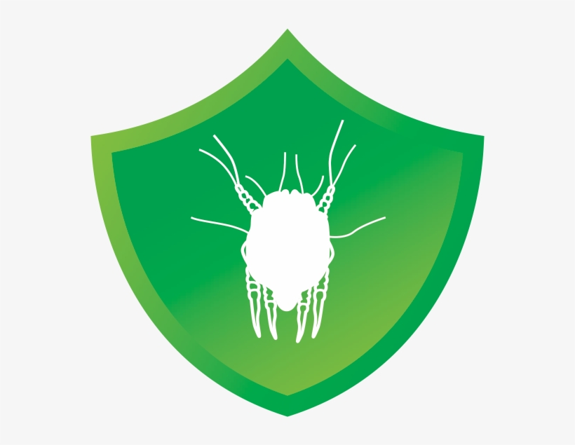Cleans Up Mites Reducing Skin Irritation And Risk Of - Free Transparent ...