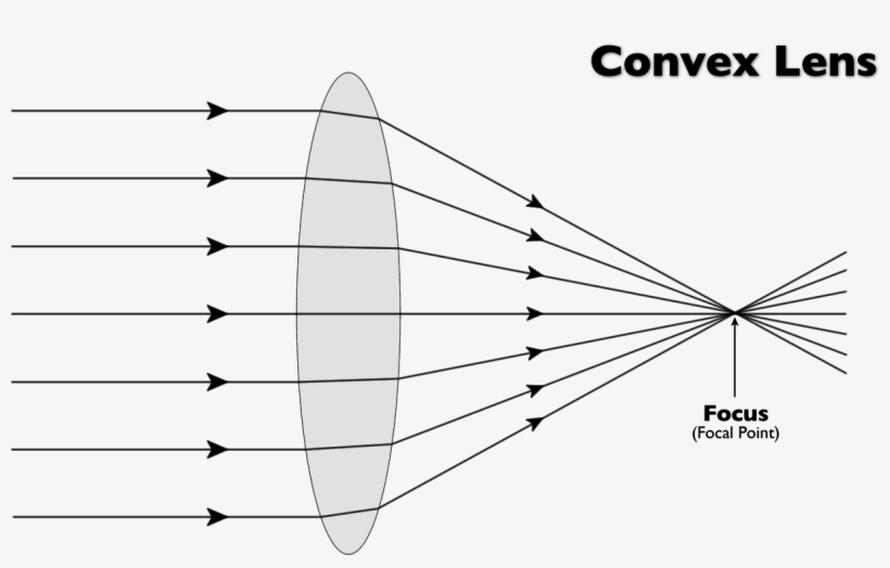 Look How The Angle At Which Light Rays Hit The Surfaces - Simple Convex ...