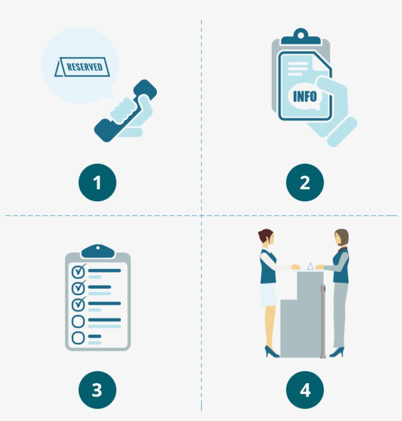 Please Show Your - Free Transparent PNG Download - PNGkey