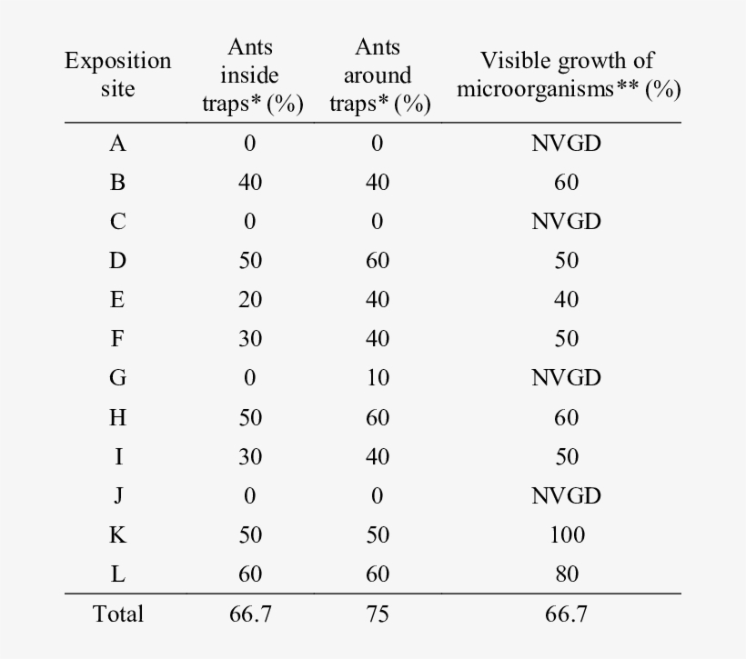 Of Ants Inside And Around Traps, Visible Growth Of - Free Transparent ...