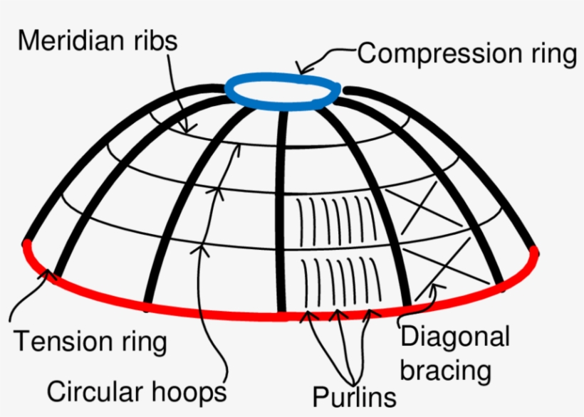 Primary And Secondary Members Of A Typical Radial Rib - Free ...