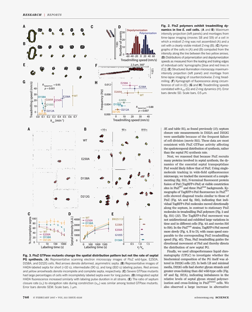 Septum Ring Png - Free Transparent PNG Download - PNGkey