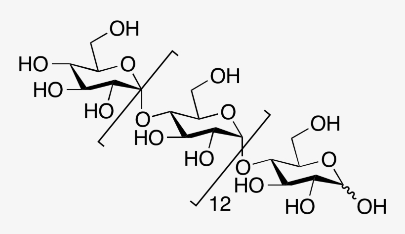 Catalogue Number - Hic-a70110313 - Free Transparent PNG Download - PNGkey