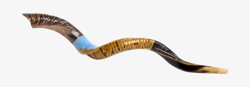 Jerusalem Painted Shofar - Free Transparent PNG Download - PNGkey