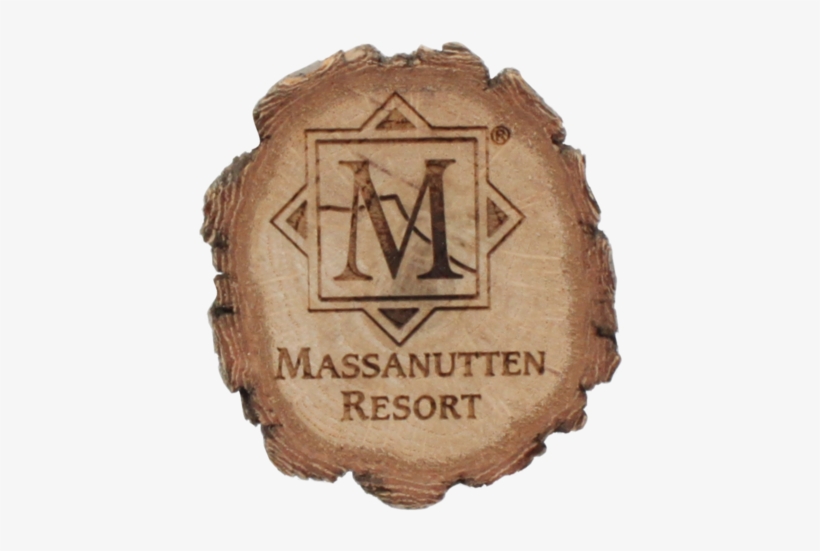 Wood Slice Png - Free Transparent PNG Download - PNGkey