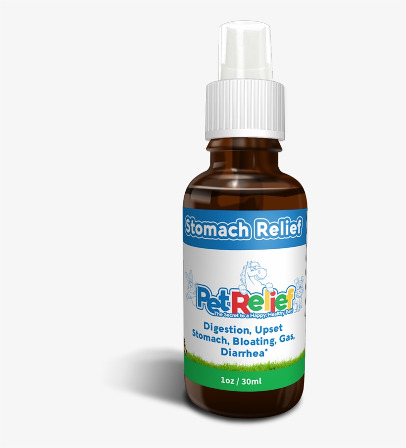 Pet Relief Dog Upset Stomach, Bloat And Gas Relief - Free Transparent ...