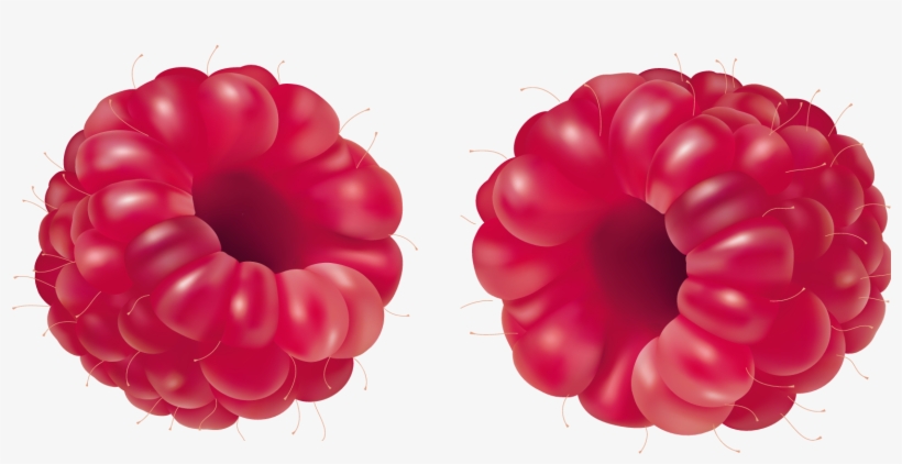 Raspberry Free Clipart Png - Free Transparent PNG Download - PNGkey