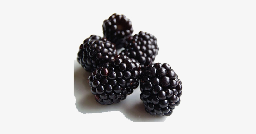 Black Raspberries Png Clipart - Black Raspberry Fruit - Free ...