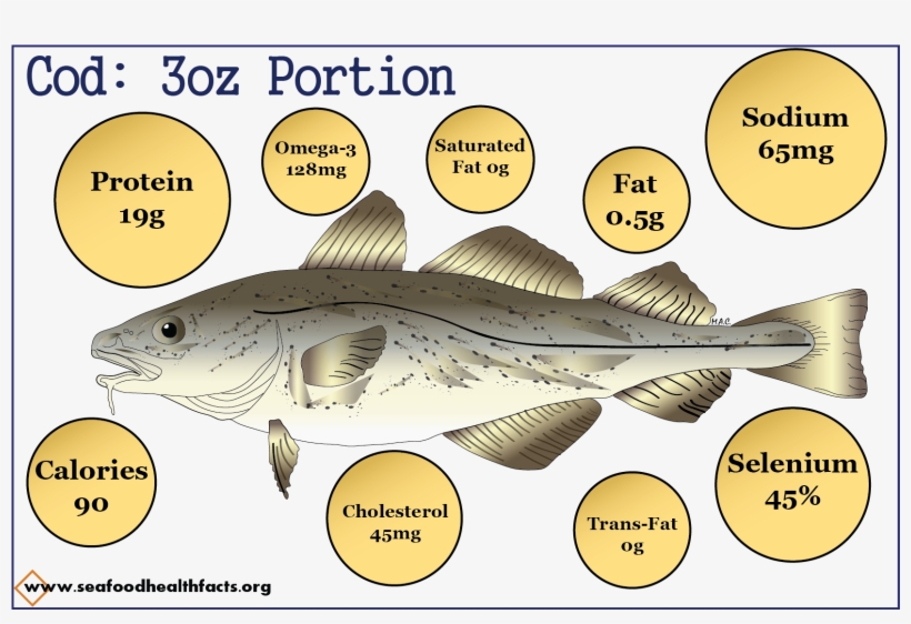 Cod (png) - Bass - Free Transparent PNG Download - PNGkey