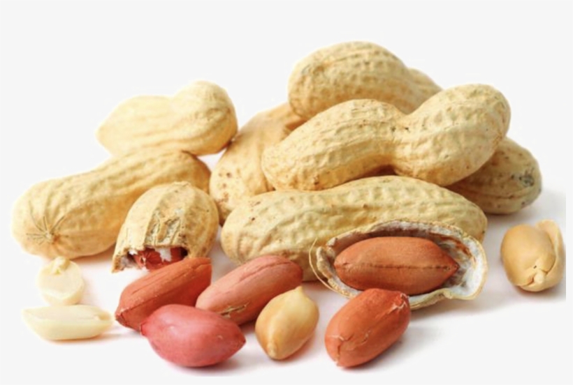 Peanut Png Image - Groundnut Png - Free Transparent PNG Download - PNGkey